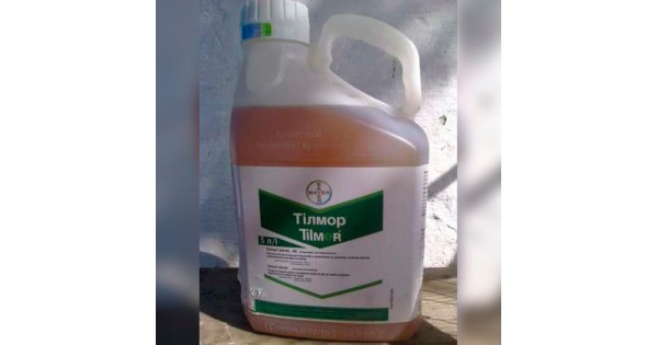 Фунгицид Тилмор – Bayer купить в интернет-магазине цена, отзывы ...
